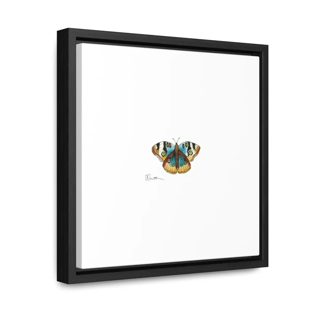 Blue Buckeye - Gallery Canvas Wraps with Floater Frame | Shop | Verve Creative Studio - Cedar ...