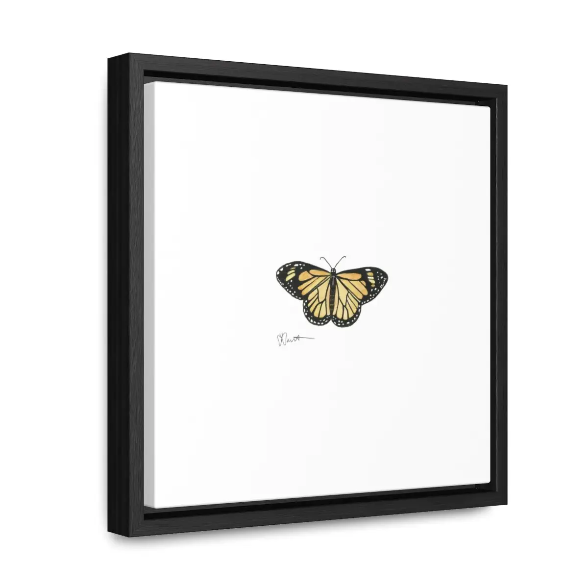 Monarch - Gallery Canvas Wraps with Floater Frame | Shop | Verve ...